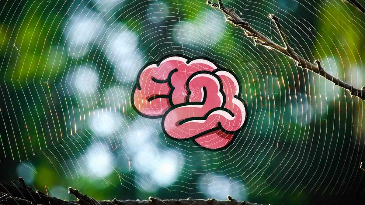 3 mind traps that destroy your dream | Life & Transformation | Brave ...