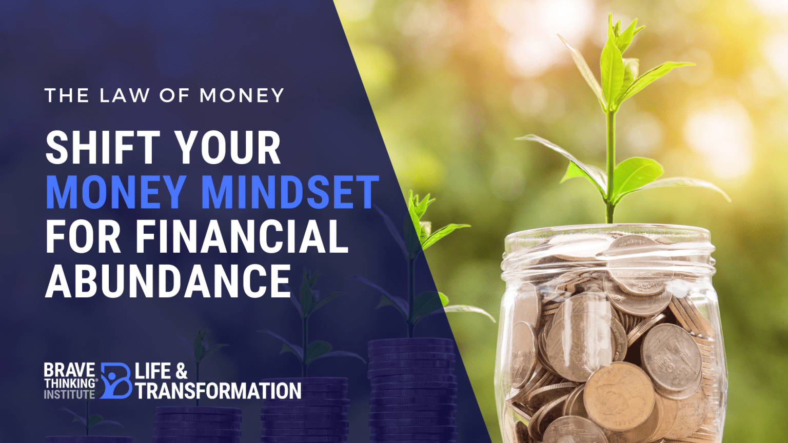The Law of Money: Shift Your Money Mindset for Financial Abundance